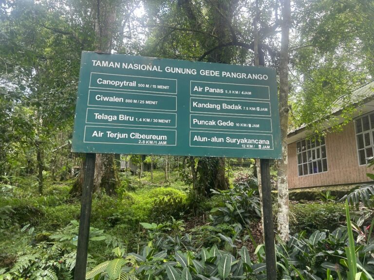 Curug Cibeureum: Pesona Air Terjun “Merah” dan Petualangan Trekking ...